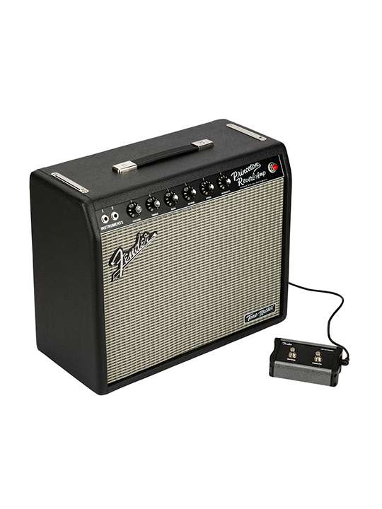 Fender Tone Master Princeton Reverb | Music Concept